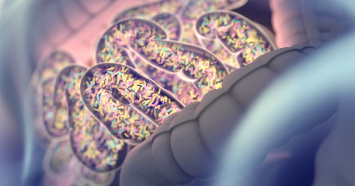 Chemotherapy rewires gut bacteria to curb metastasis - News - Doctors ...